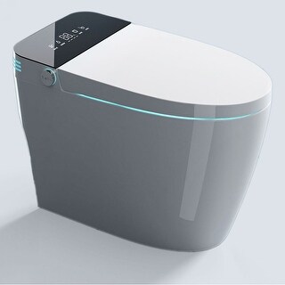 Smart Toilets with Heated Bidet Seat toilet with bidet built in AUTO ...