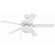Craftmade 52" Enduro Plastic Ceiling Fan - Bed Bath & Beyond - 37452774