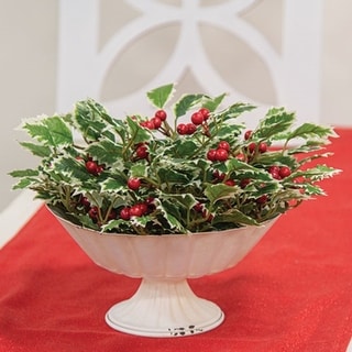Mini Holly Leaves & Berries Half Sphere 10" - Red-Green - 10"L x 10"W x ...