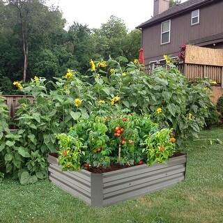 122*92*31Cm Iron Planting Frame Dark Coffee Color - Bed Bath & Beyond ...