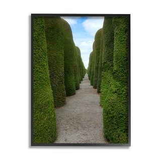 Stupell Topiary Trees Hedge Pathway Framed Giclee Art by Dennis Frates ...