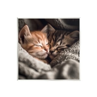 Stupell Cuddling Kittens Portrait Wall Plaque Art Design by Roozbeh ...