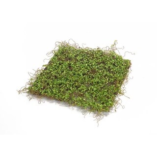 Moss Mat (Setof 12) 12"SQ Polyester/Plastic - 12" - Bed Bath & Beyond ...