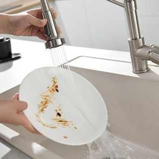Brushed Pull Down Dual Function Kitchen Faucet - Bed Bath & Beyond ...