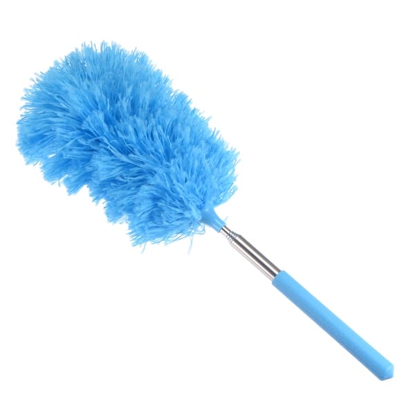 feather dusting brush