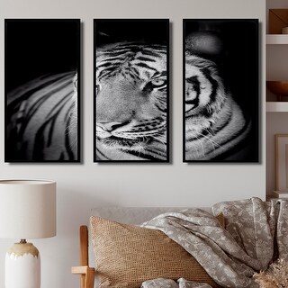 Designart "Monochrome Portrait Of A White Tiger VI" Traditional Framed ...