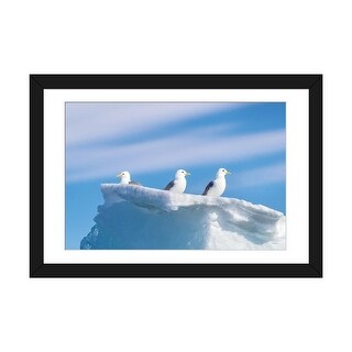 iCanvas "Kittiwakes On A Snow-Covered Iceberg, Svalbard" by Jane Rix ...
