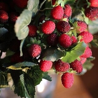 RusticReach Artificial Raspberry Fruit Stem 10" Tall - Red - Bed Bath ...