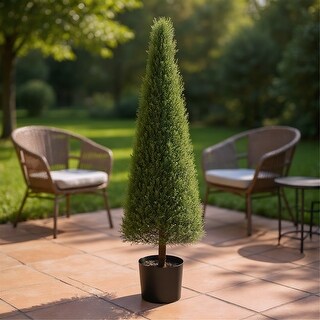 5FT Conical Topiary Cedar Tree - Bed Bath & Beyond - 43543325
