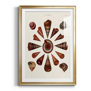 Spiral Shell Formation IV Premium Framed Print - Ready to Hang - Bed ...