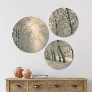 Designart 'Winter Road Backlit my Morning Sun' Forest Wood Wall Art Set ...
