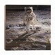 Buzz Aldrin Moonwalker Print On Wood by NASA - Multi-Color - Bed Bath ...