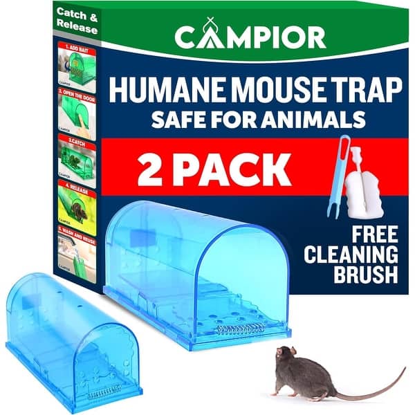 house mouse trap