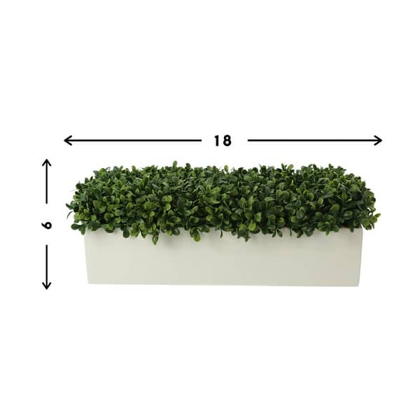UV Rated Outdoor Boxwoods Arranged in a Rectangular Planter - Green ...