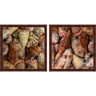 Andy Amos 'Mini Conch Shells' Framed Art (Set of 2) - Bed Bath & Beyond ...