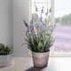 Plastic Lavender In Cement Pot 22" - Purple - Bed Bath & Beyond - 33039329
