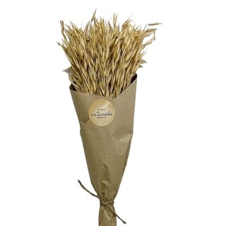 Avana Grass in Craft Paper Wrap Natural H 23.6" - Bed Bath & Beyond ...
