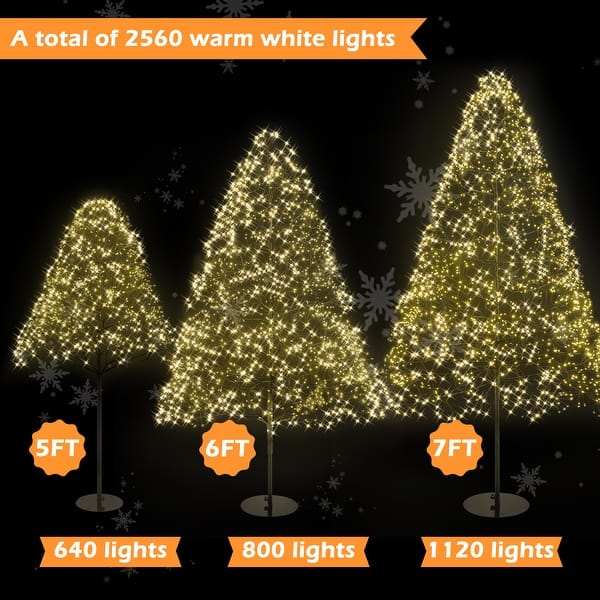 romantic tree lights