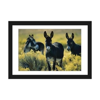 iCanvas "Wild Burros In Sagebrush, At Sheldon National Wildlife Refuge ...