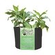 Smart Pot 30 Gallon Fabric Dirt Planter Flower Pot Soft Sided Container ...