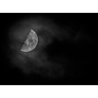 Grey Half Moon Photograph Art Print - Bed Bath & Beyond - 14688237