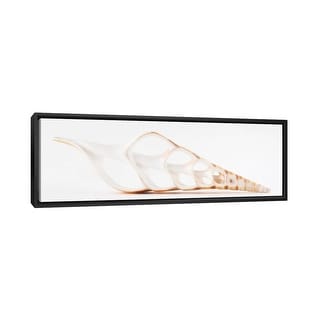 iCanvas "Cut Tibia Shell" by Philippe Hugonnard Framed Canvas Print ...