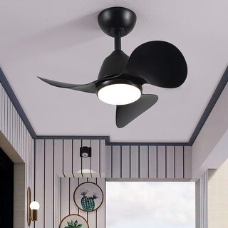 Cian Modern Black Lighted Ceiling Fan 3-Blade LED Remote Control - Bed ...