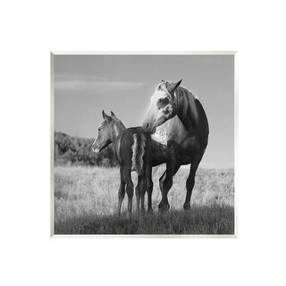 Stupell Horse & Foal Photography Wall Plaque Art Steve Toole - Bed Bath ...