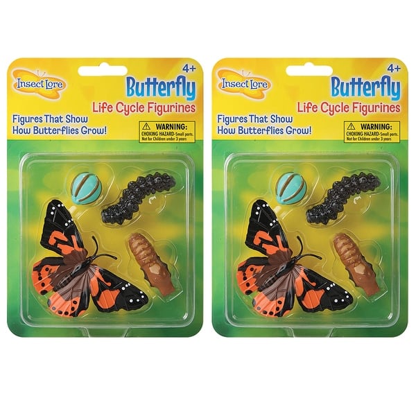 Insect lore (2 ea) butterfly life cycle stages 4760bn - Bed Bath ...