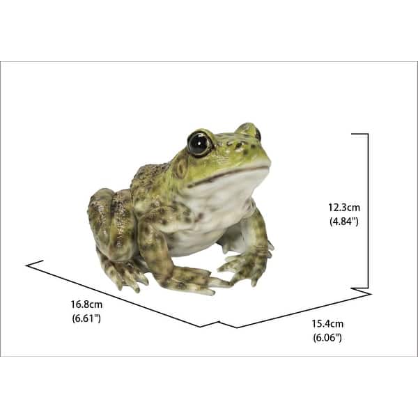 American Bullfrog - Bed Bath & Beyond - 35453712