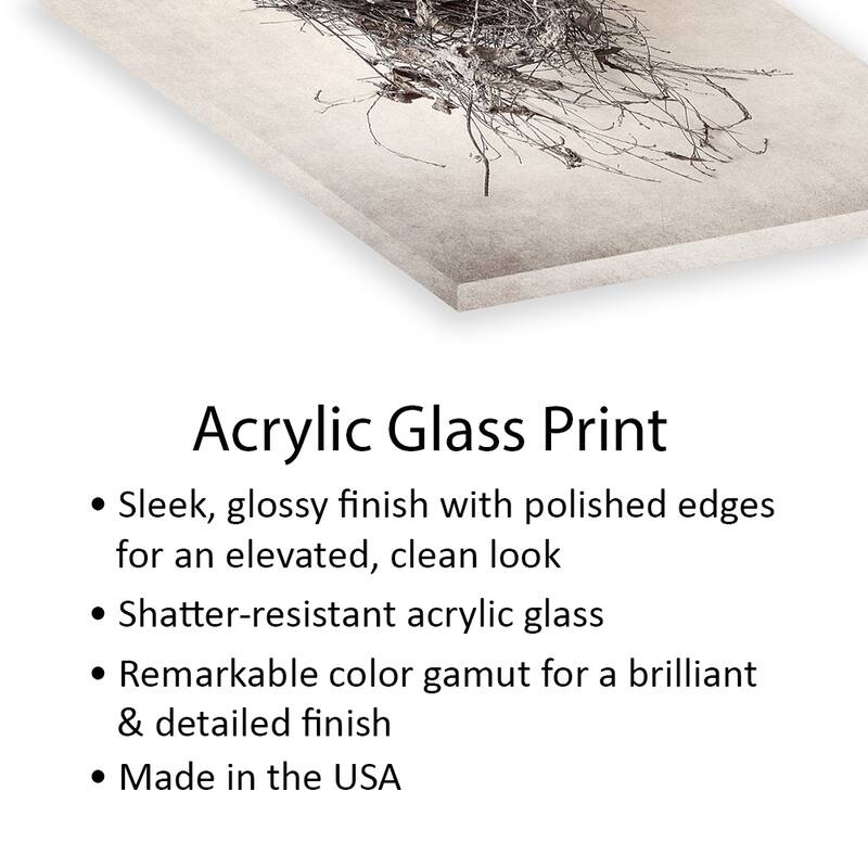 Nest II Print On Acrylic Glass by Debra Van Swearingen - Overstock ...