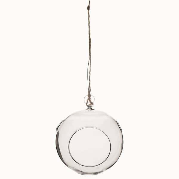 7 inch Round Glass Hanging Terrarium - Bed Bath & Beyond - 36882372