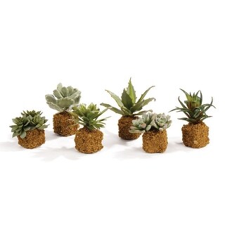 Succulent Faux (Fake) Drop-Ins 5.5" - Bed Bath & Beyond - 39745458
