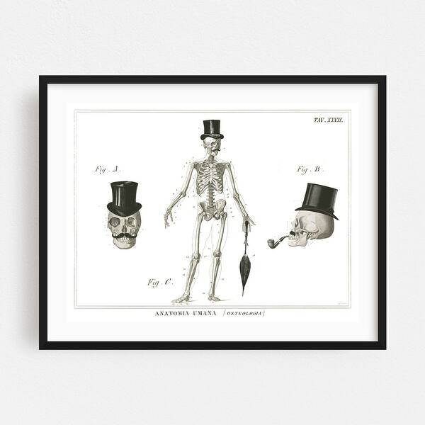 Dandy Bones Illustrations Anatomy Figurative Skull Art Print/Poster ...