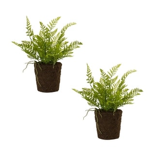 Potted Fern Plant (Set of 3) - Bed Bath & Beyond - 37759398