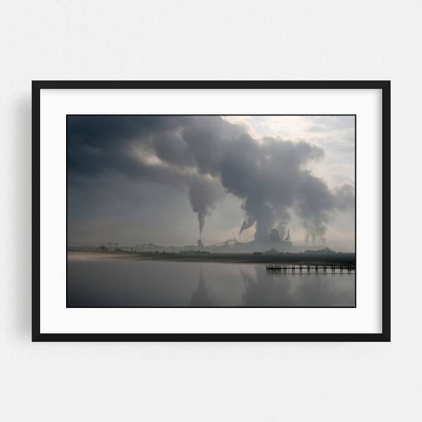 Turtle River Georgia Hell on Earth Photography Plant Art Print/Poster ...