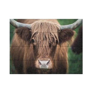 Nathan Larson 'Cow Nose' Wood Slat Art - Bed Bath & Beyond - 37639341