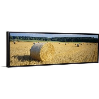 "Bales of Hay Southern Germany" Black Float Frame Canvas Art - Bed Bath ...