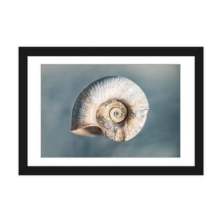 iCanvas "100 Years Of Shell Cyan Edition" by Nik Rave PFA - Bed Bath ...