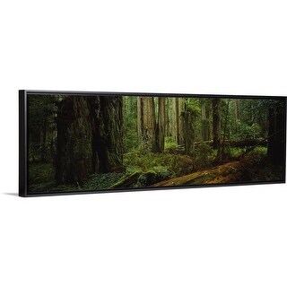 "Trees in a forest, Hoh Rainforest, Olympic National Park, Washington ...