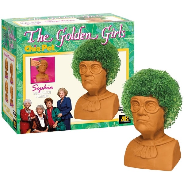 chia pet head