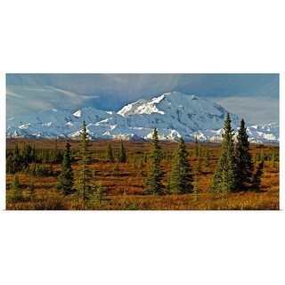 Autumn tundra and spruce trees, Mt McKinley, Denali National Park ...