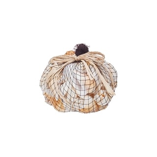 Brown Shell Bundle - Bed Bath & Beyond - 40391702