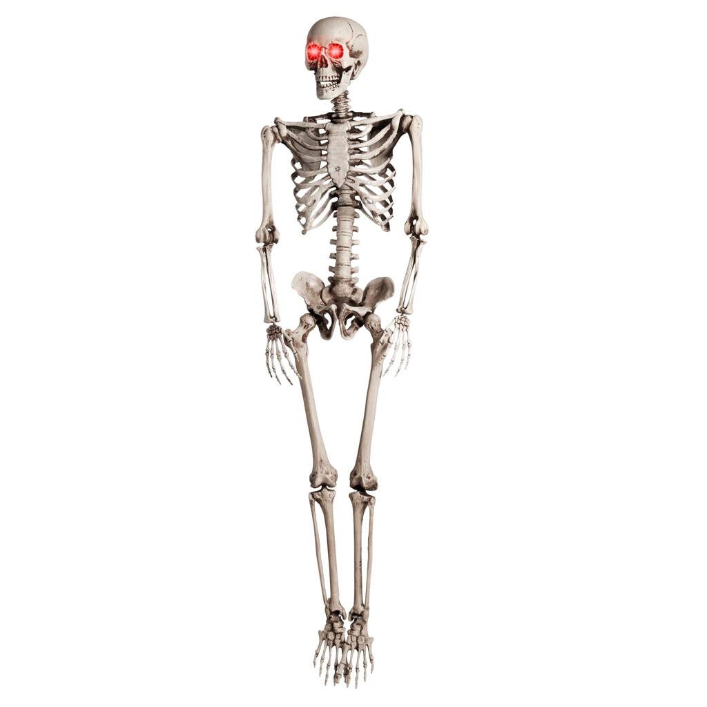 5.5ft Halloween Posable Skeleton Sound Activated LED Glowing Eyes ...