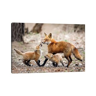 iCanvas "Red Fox Kits Joyously Greet Returning Father" by Melissa Groo ...