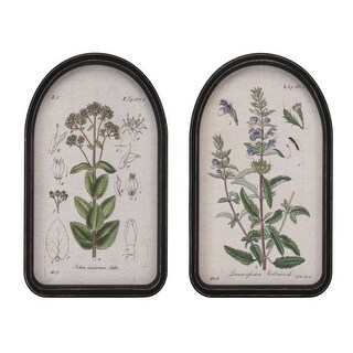 Framed Floral Arch Print (Set of 2) - Bed Bath & Beyond - 40881294