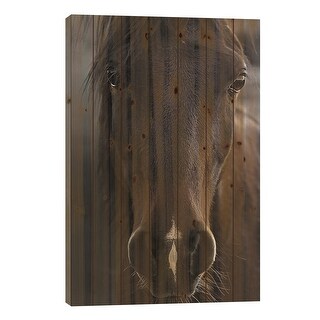 Dark Horse Print On Wood by Monika Strigel - Multi-Color - Bed Bath ...