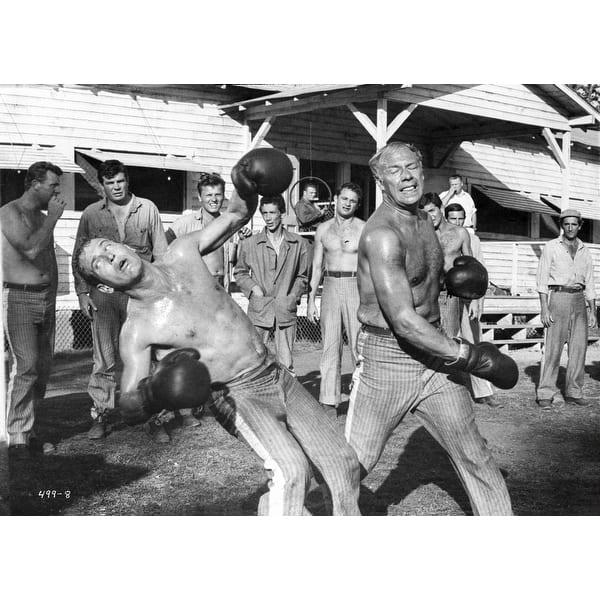 Paul Newman Boxing Sparing Black and White Photo Print - Bed Bath ...