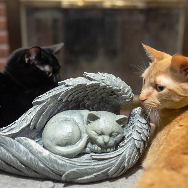 Exhart Cat in Angel Wings Garden Statue, 14 by 6 Inches - Bed Bath ...