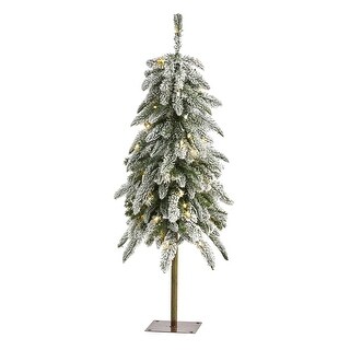 3.5' Flocked Washington Alpine Christmas Tree with 50 White Warm LED ...